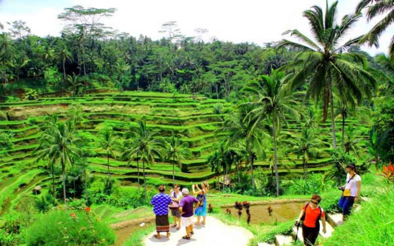 9 Fakta Unik Sawah Terasering Tegalalang Ubud yang wajib dikunjungi