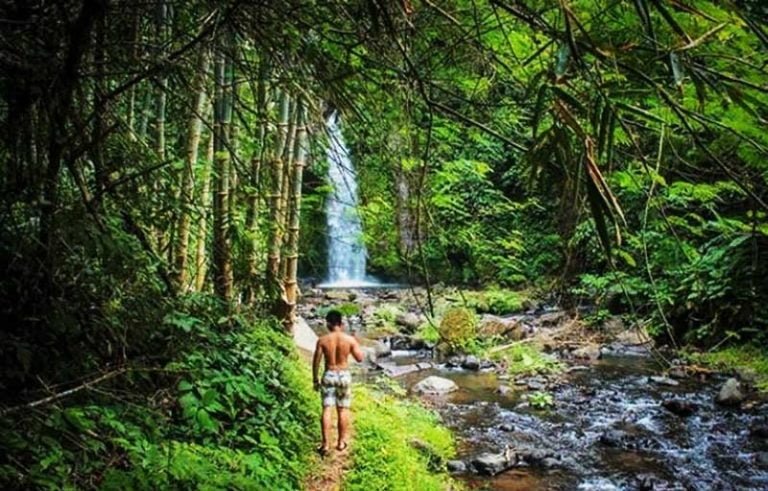 Serunya Petualangan di Desa Wisata Petang Badung, Bali