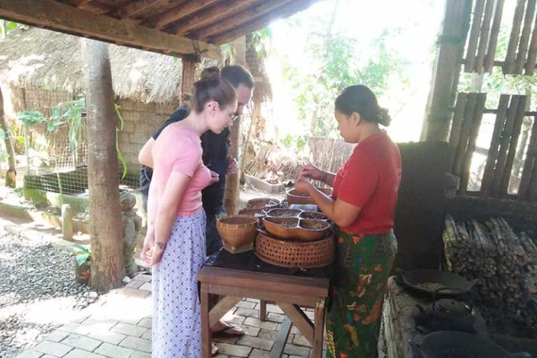 Agrowisata Kopi Luwak Bali